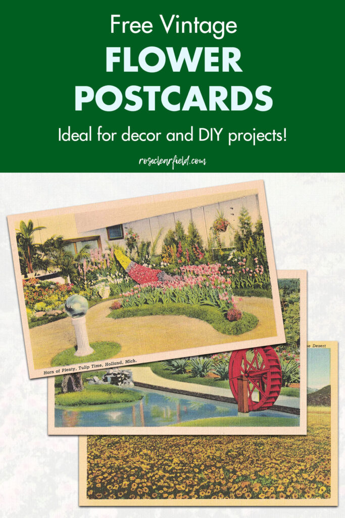 Free Vintage Flower Postcards • Rose Clearfield