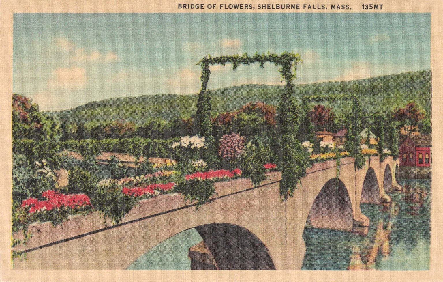 Free Printable Vintage Flower Postcards • Rose Clearfield