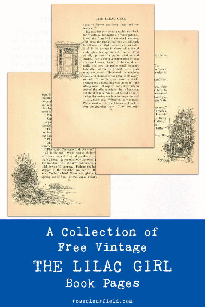 A Collection of Free Vintage The Lilac Girl Book Pages • Rose Clearfield