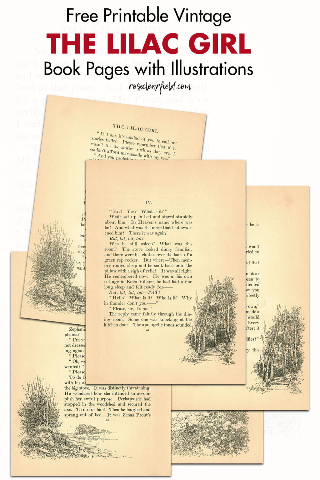 Free Printable Vintage The Lilac Girl Book Pages with Illustrations ...
