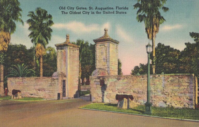 Free Printable Vintage St. Augustine Florida Postcards • Rose Clearfield