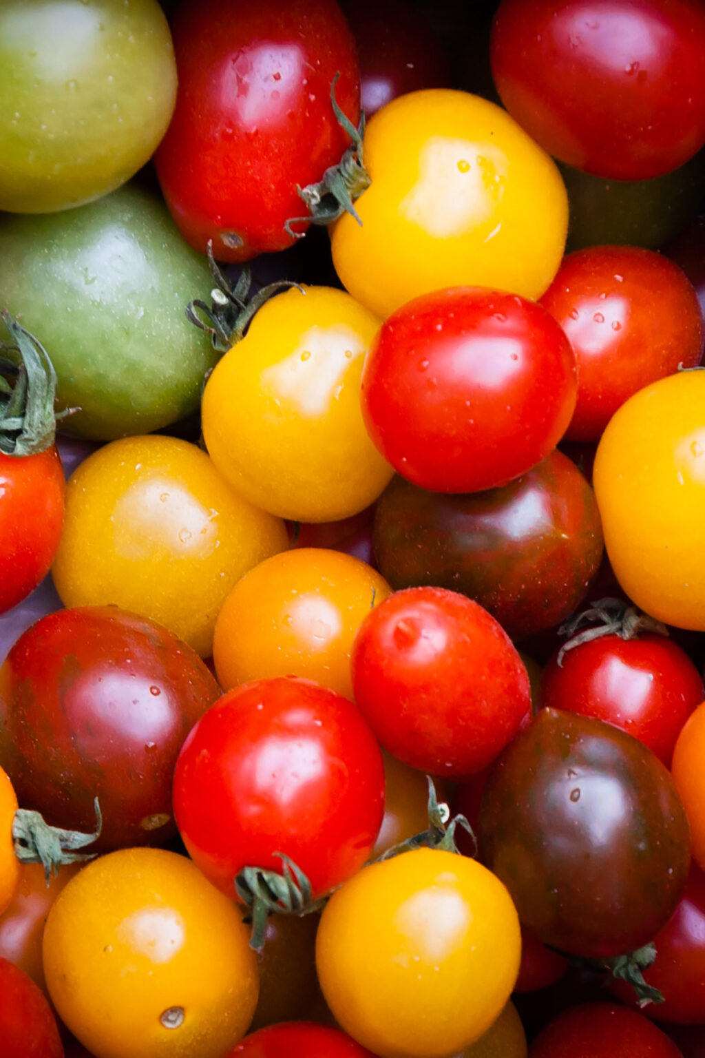 What to Do with Cherry Tomatoes - Rose Clearfield