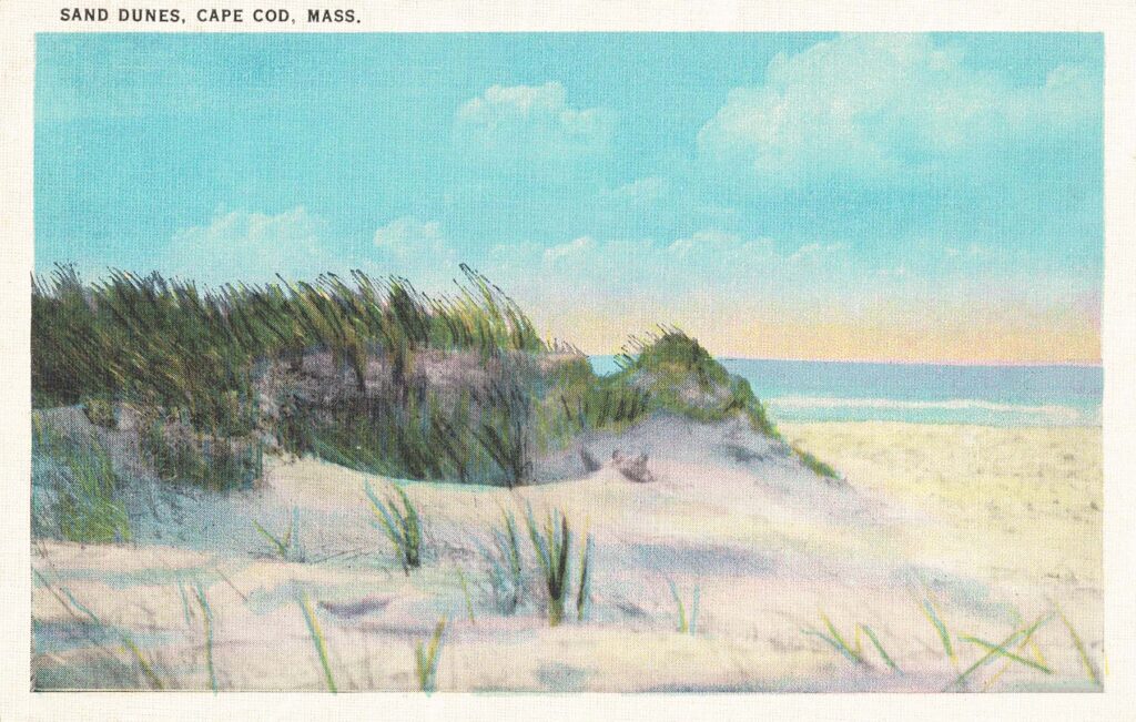 Free Printable Vintage Beach Postcards • Rose Clearfield
