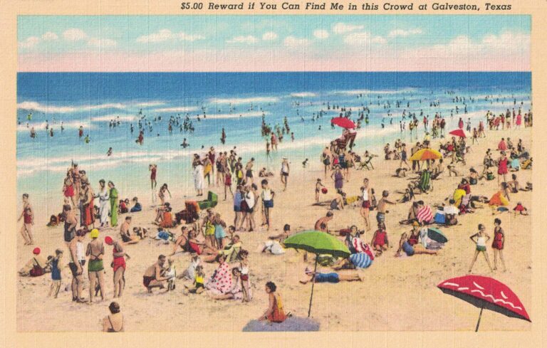 Free Printable Vintage Beach Postcards • Rose Clearfield