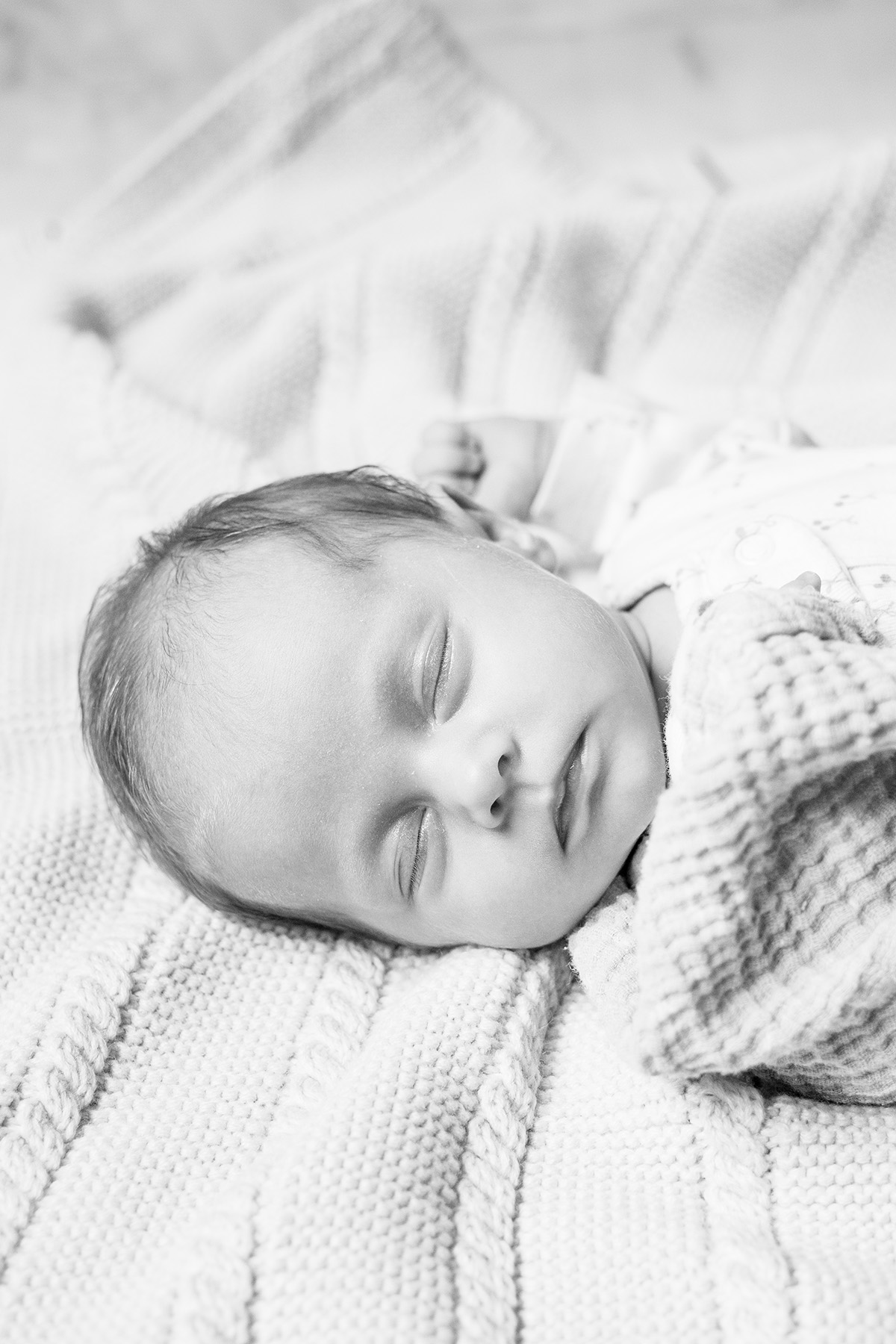 One Month Of Annie • Rose Clearfield