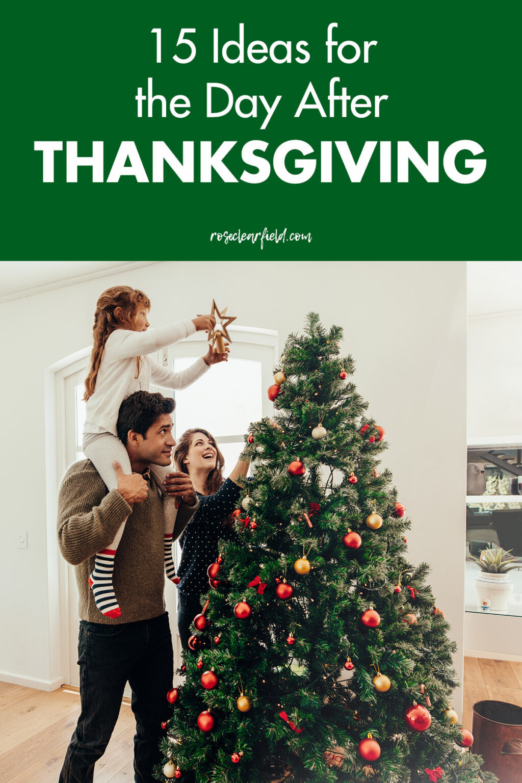 What to Do the Day After Thanksgiving • Rose Clearfield