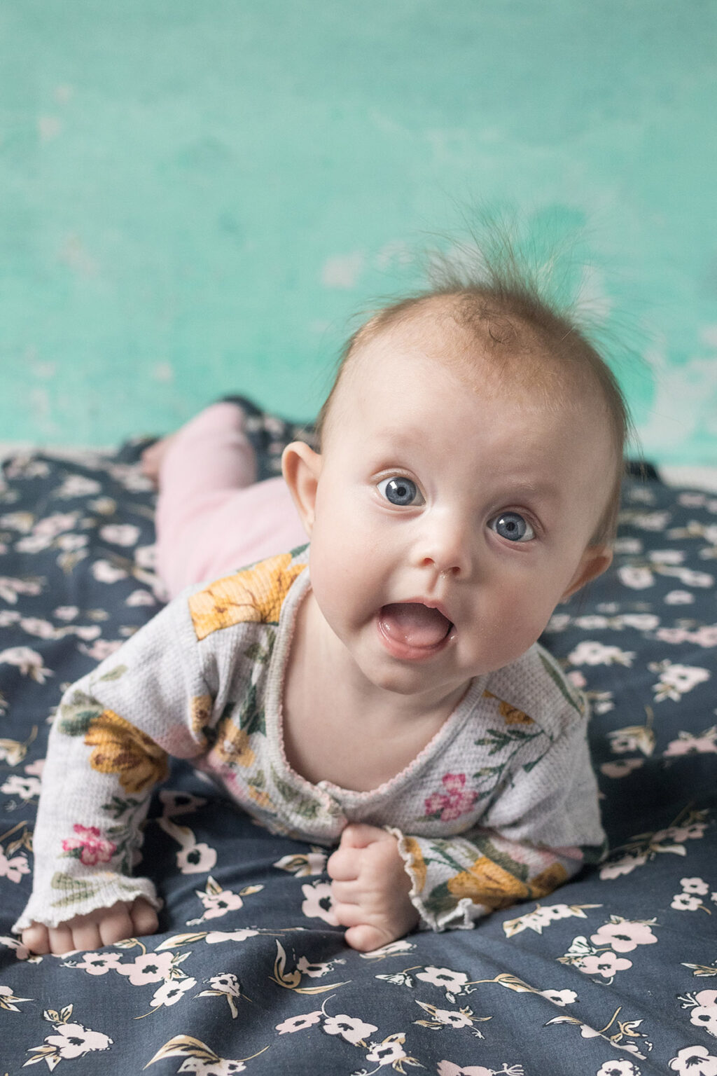 Four Months of Annie - Rose Clearfield