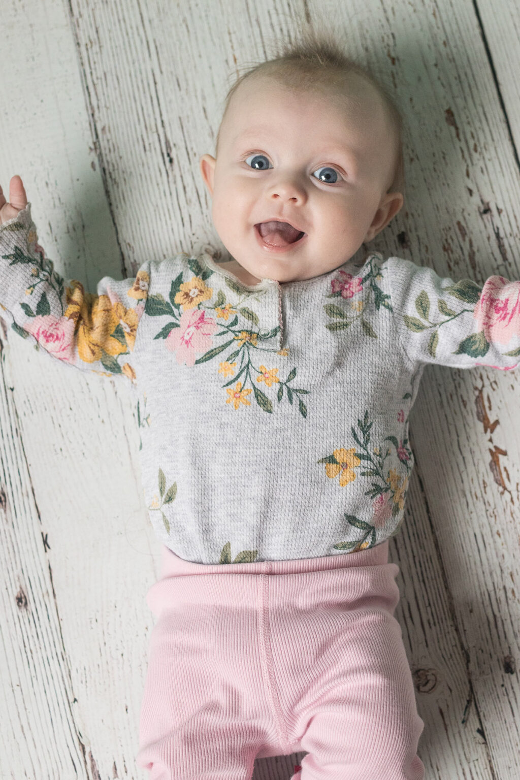 Four Months of Annie - Rose Clearfield