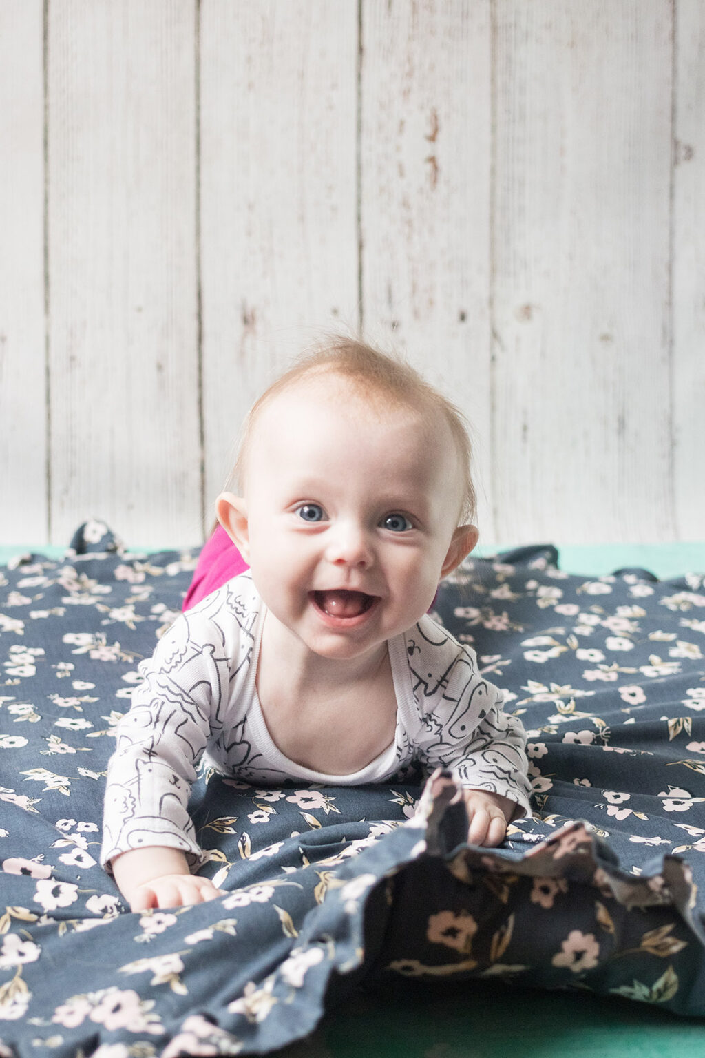 Five Months of Annie • Rose Clearfield