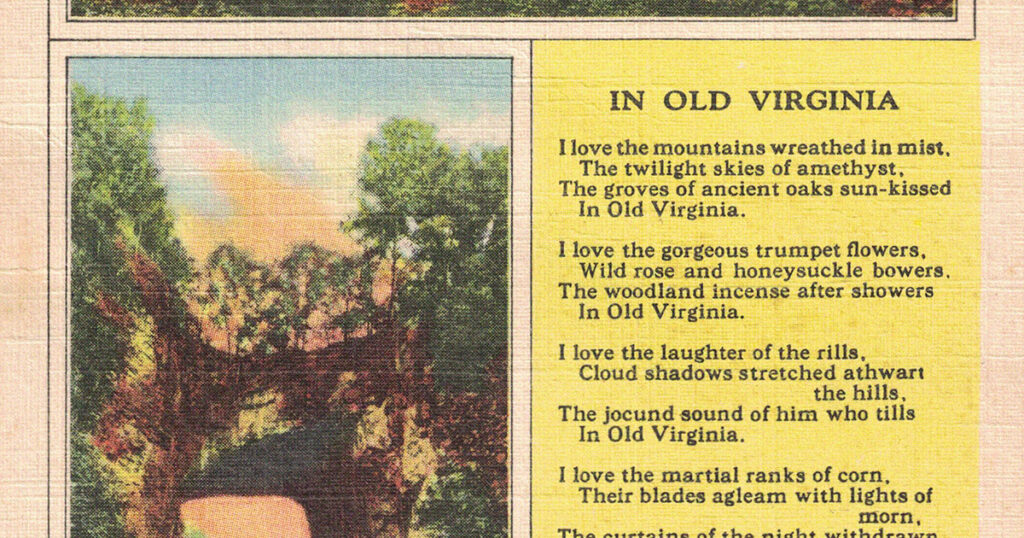 Vintage Postcard Virginia In Old Virginia Poem 2 • Rose Clearfield