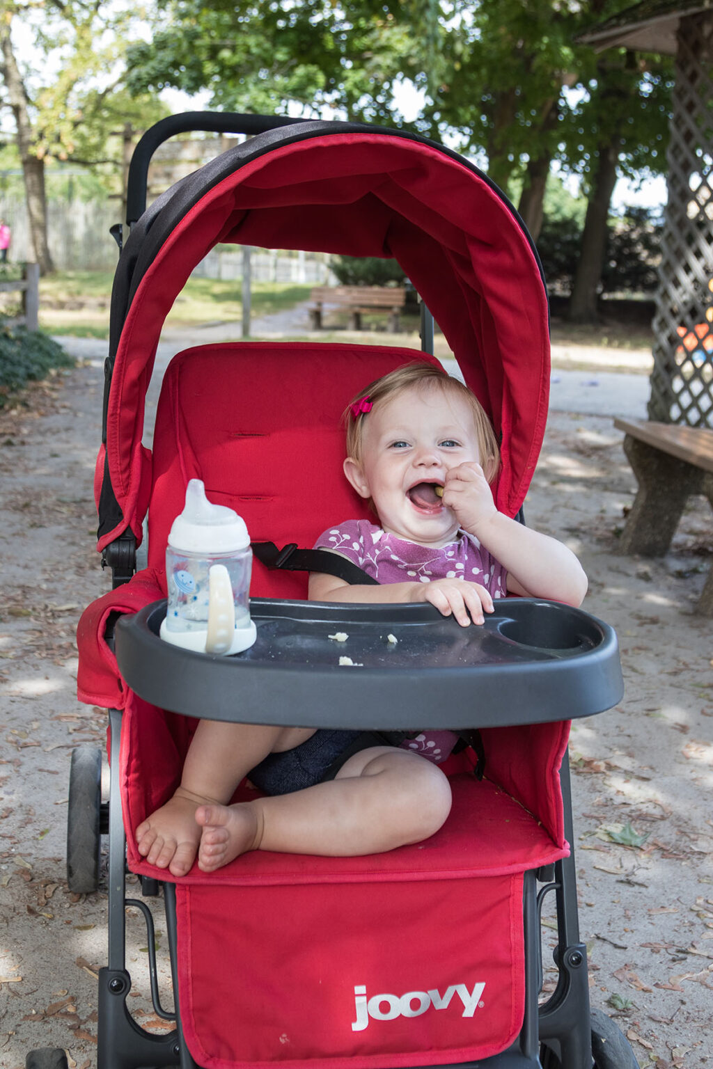 13 Months of Annie • Rose Clearfield